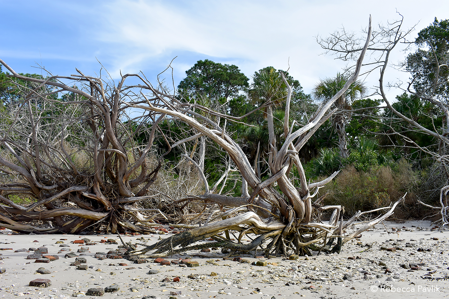 Cedar Key, Florida – An Authentic Old Florida Fishing Village ...